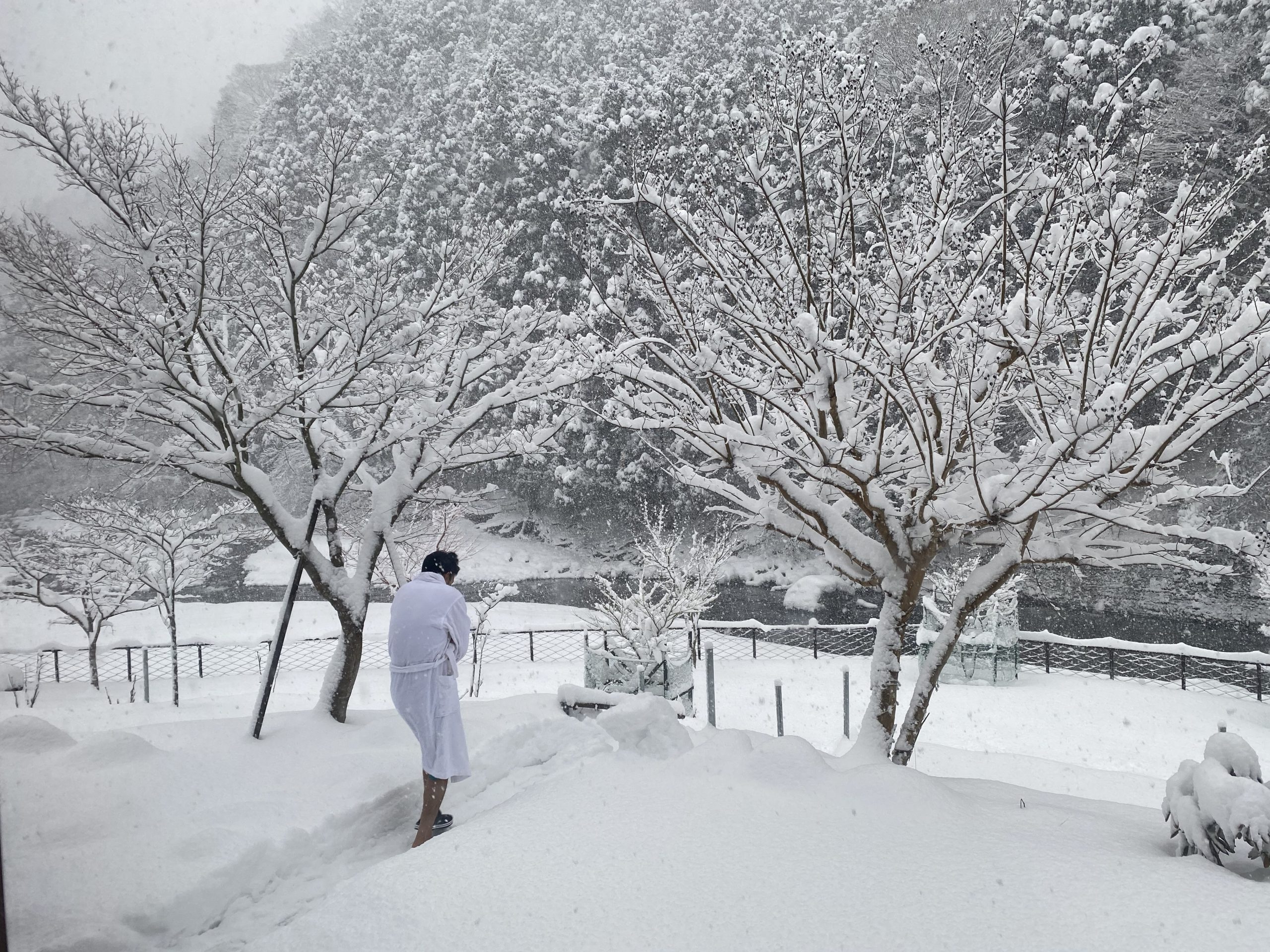 雪にダイブ?!! | SLOW NATURE | 京都・京北のキャンプ場